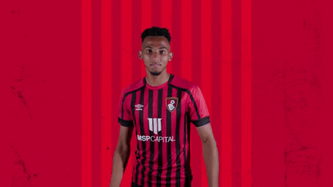 Celebrating Bring It GIF by AFC Bournemouth - Find & Share on GIPHY