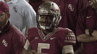 Red Lightning Fsu Gif