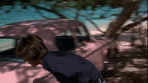 Car Trunk GIFs - Find & Share on GIPHY