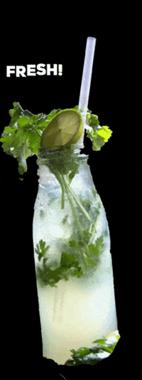 Berlin Mule GIF - Find & Share on GIPHY