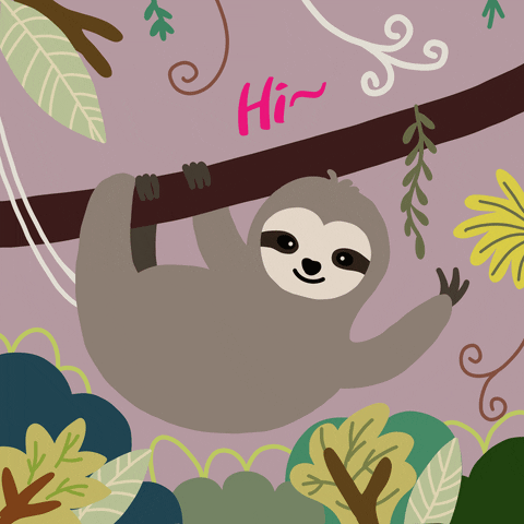 Sloth Wave GIFs - Get the best GIF on GIPHY