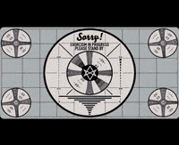 Fallout Please Stand By Gif