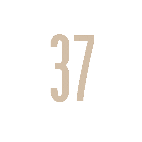 Establish 37 GIFs on GIPHY - Be Animated