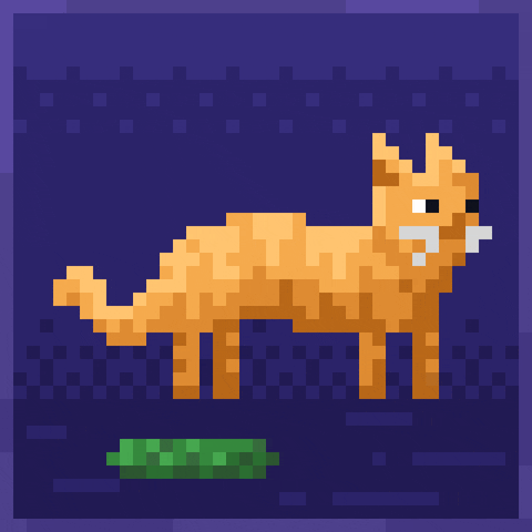 Pixelcat GIFs - Get the best GIF on GIPHY