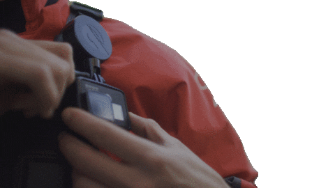 Reeloq GIFs on GIPHY - Be Animated