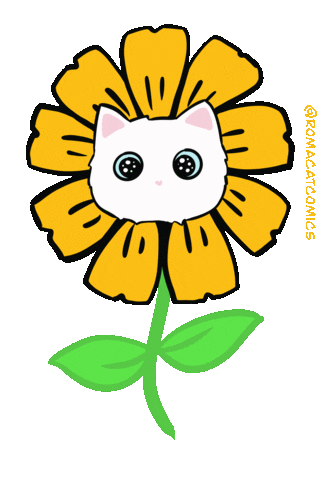 Cat Flower Gif | Best Flower Site