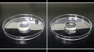 Polymer Hydrogel GIF by MIT - Find & Share on GIPHY