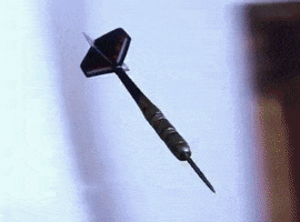 Real Life GIFs on GIPHY - Be Animated