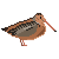 Pixel Birds GIFs on GIPHY - Be Animated