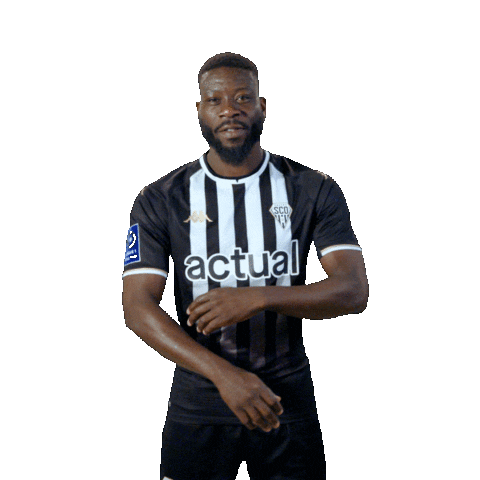 Football Soccer Sticker by ANGERS SCO for iOS & Android | GIPHY