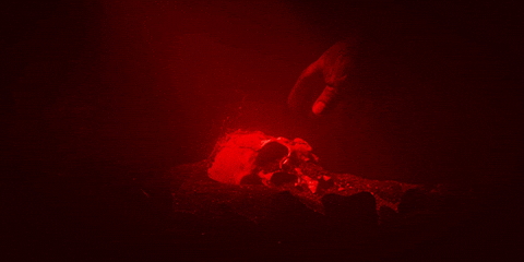 Red-and-green-lyre GIFs - Get the best GIF on GIPHY