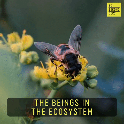 Protect Wildlife GIFs - Get the best GIF on GIPHY