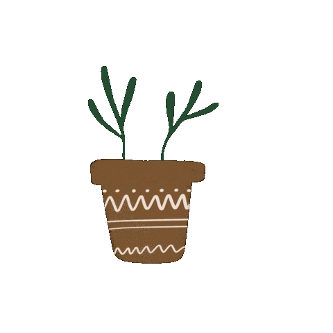 Growing Plant Gif
