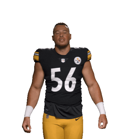 Pittsburgh Steelers GIFs on GIPHY - Be Animated