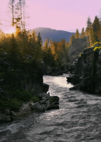 River GIFs - Find & Share on GIPHY