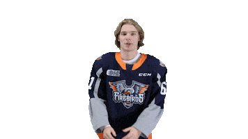 Flint Firebirds GIFs on GIPHY - Be Animated